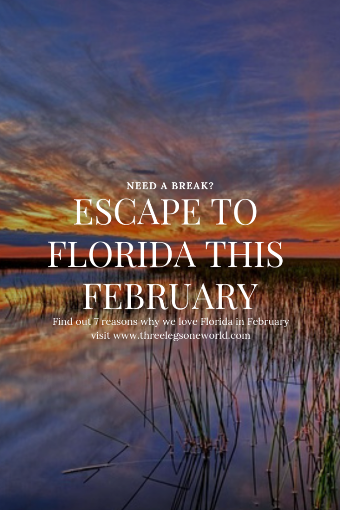7 Reasons To Visit Florida in February