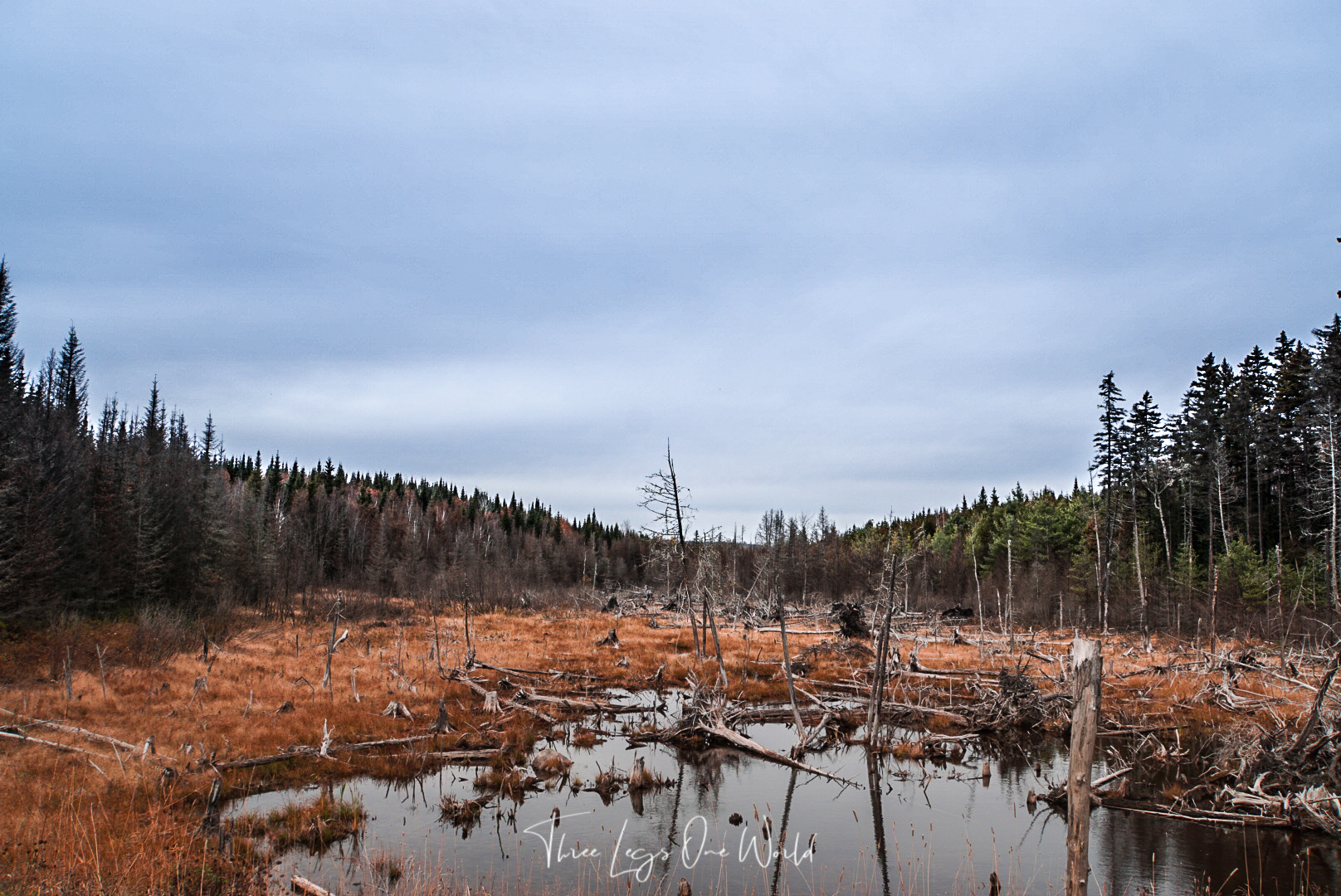 Visiting The North Maine Woods